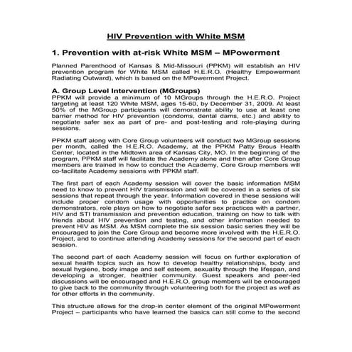 HIV Prevention Grant Proposal 2008 | PDF
