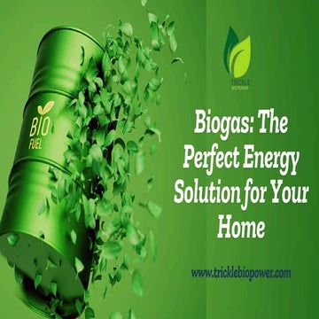 Turn Kitchen Waste into Cooking Gas – Biogas for Homes | PDF