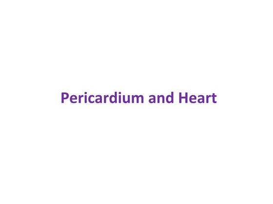 Right atrium of heart | PPT