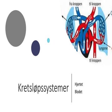 Respirasjonssystemet | PPT