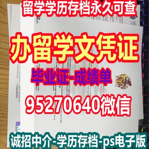 TUM毕业证 | PDF | Undergraduate Education | College Education