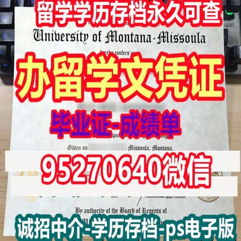 UMCP毕业证 | PDF | Undergraduate Education | College Education