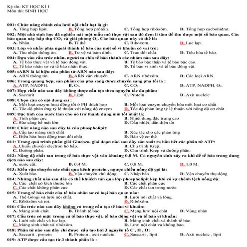 Hki 10 10 nc_degoc | PDF