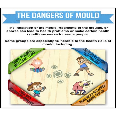 Hamilton King Property Management Limited - The Dangers of Mould | PDF