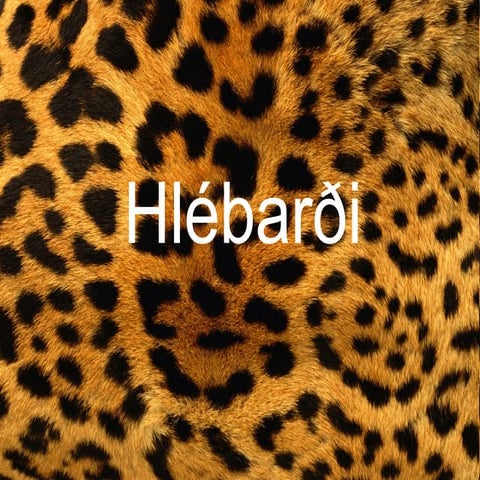 Hlébarði | PPT