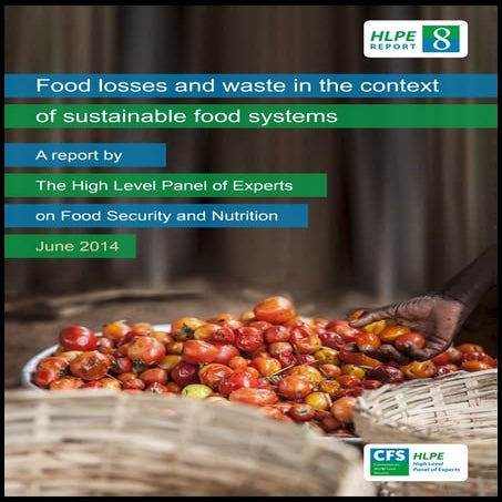 FAO Food Security High Level report June 2014 | PDF