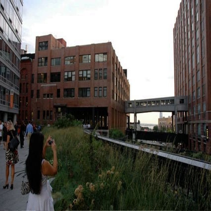 Chelsea Highline | PDF