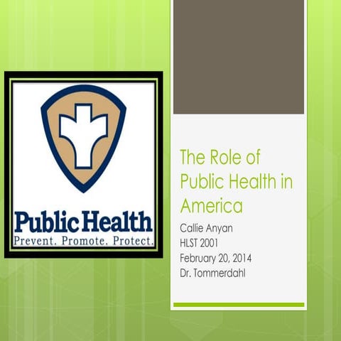 PowerPoint Regarding Public Health | PPTX
