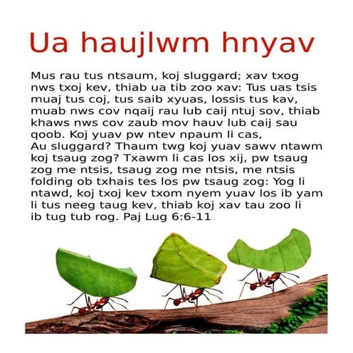 Hmong Daw Motivational Diligence Tract.pdf