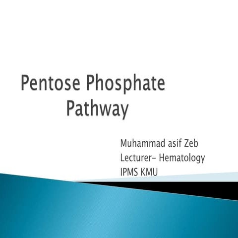 Hmp shunt pathway | PPTX