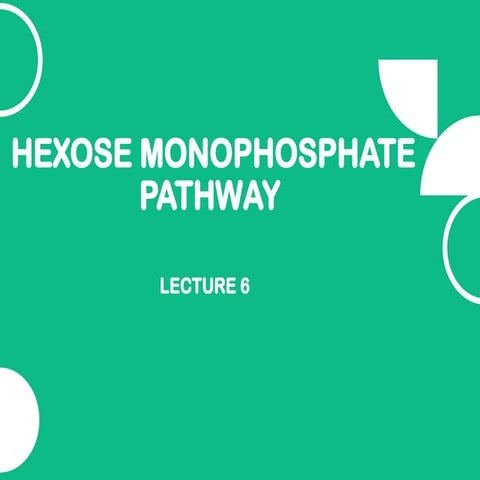 Comprehensive Overview of the Hexose Monophosphate Pathway and Its ...