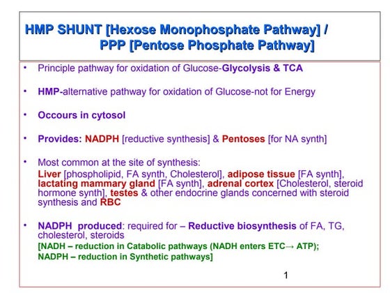 HMP SHUNT PATHWAY | PPTX