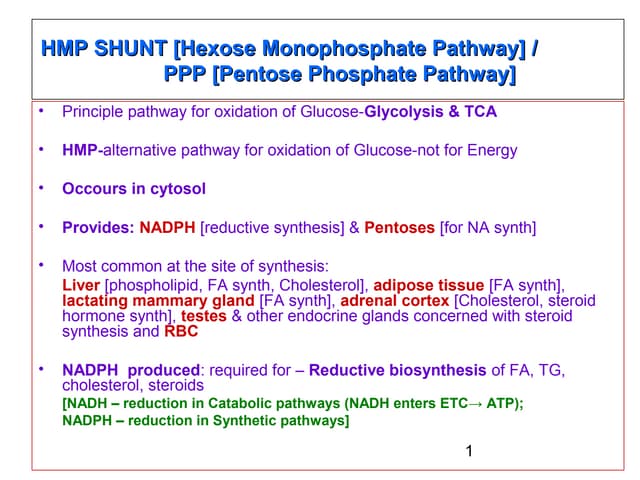 Uronic Acid Pathway : Steps and Significance | PPTX