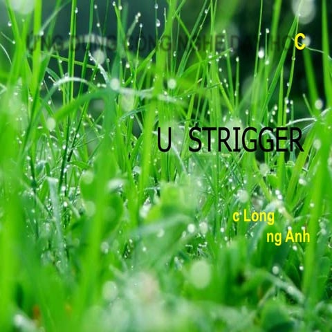 Hướng dẫn kỹ thuật strigger | PPTX