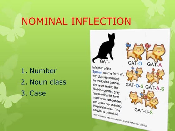 Markedness: Marked and Unmarked forms | PPT