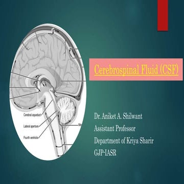CEREBROSPINAL FLUID (CSF) | PPT