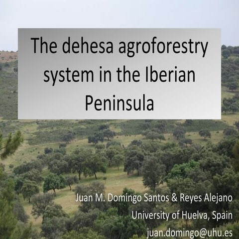 A Spanish case study in High Nature Value farming: The dehesa ...