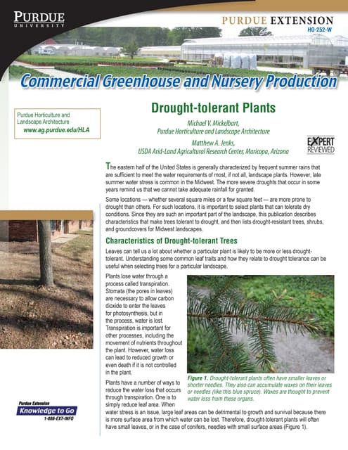 BRIEF REVISION - HYDROLOGY - 03. INTERCEPTION | PPTX