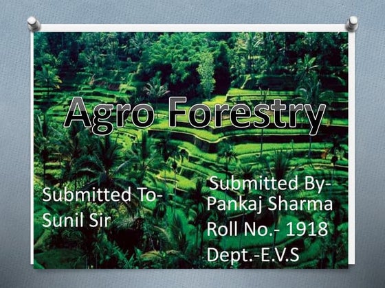 Multipurpose Trees for Bio-remediation | PDF | Agriculture | Industries