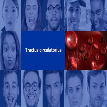 Hoc1 van anatomie 1ste bach biomedi .pdf