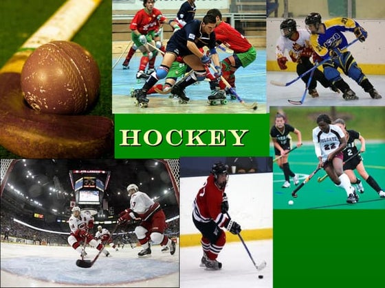 Risk assessment (astro turf) | PPT