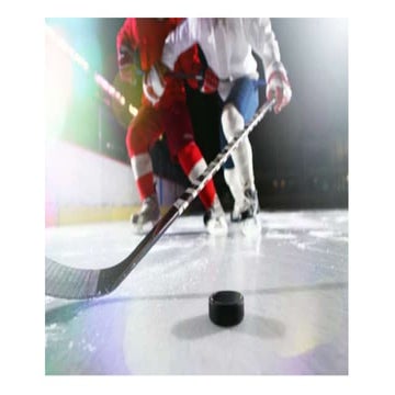 Hockey slide | PPTX