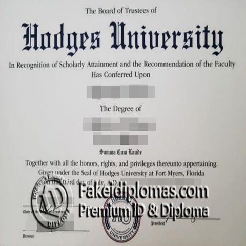 Hodges University degree | PDF