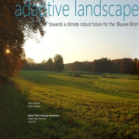 Adaptive Landscape - MSc thesis | PDF