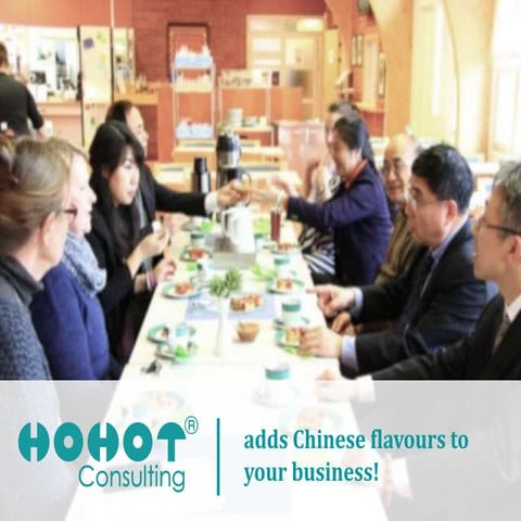 Hohot consulting introduction | PPT