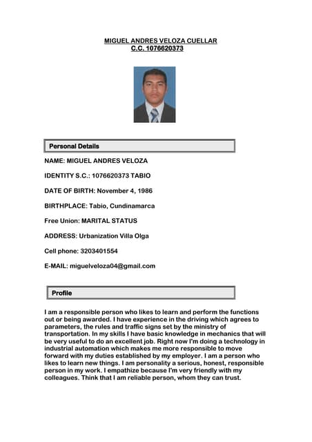 Hoja de vida ingles | PDF