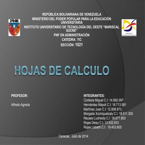 Hojas de calculo tic | PPTX | Databases | Computer Software and Applications