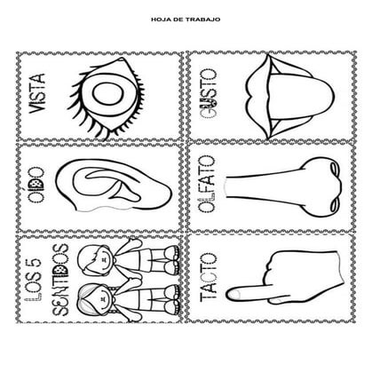 Hoja de trabajo de los colores | PDF