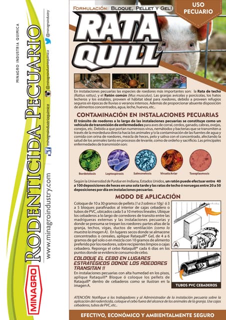 Larvicida Granular Temephos Anfos 1SG | PDF
