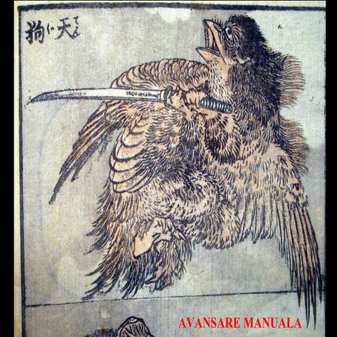Hokusai | PPS