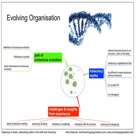 Holacracy in action | PDF