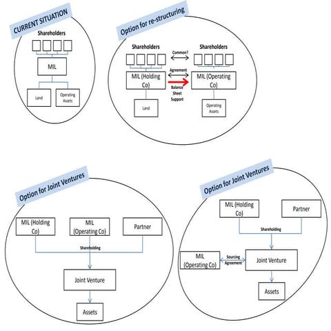 Holding company structures | PPTX