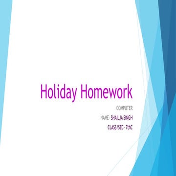 Holiday Homework.pptx