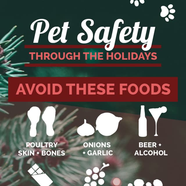 Holiday Pet Safety | PDF