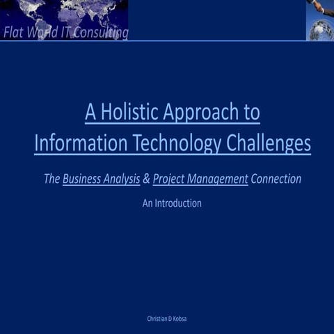 Holistic Business Analysis | PPTX