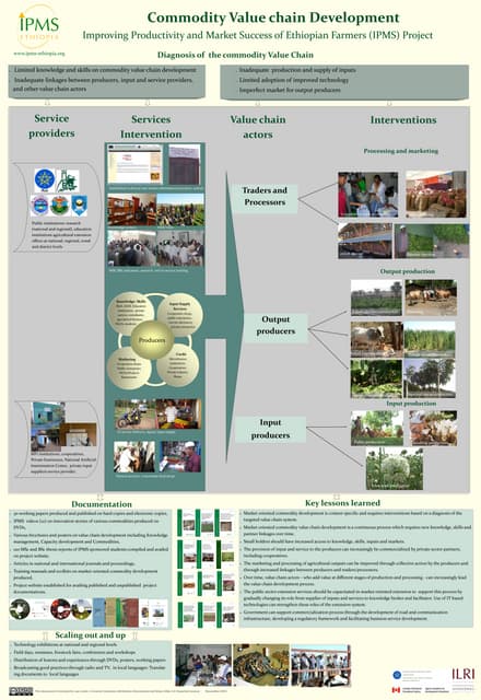 Dairy value chain development: interventions and lessons | PDF