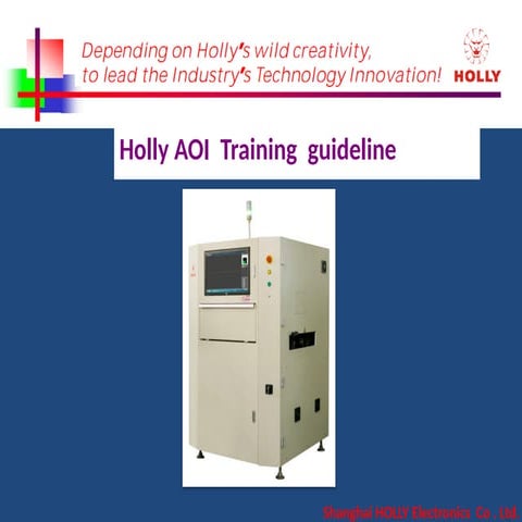 Holly AOI Training guideline RGB light.pptx