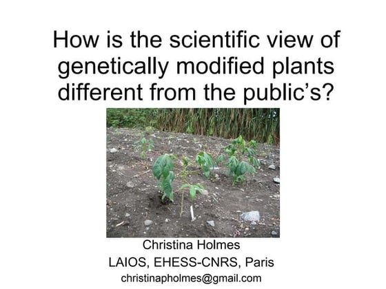 Genetically modified plants | PPTX
