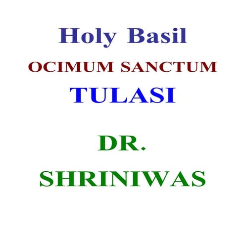 H O L Y B A S I L D R | DOC