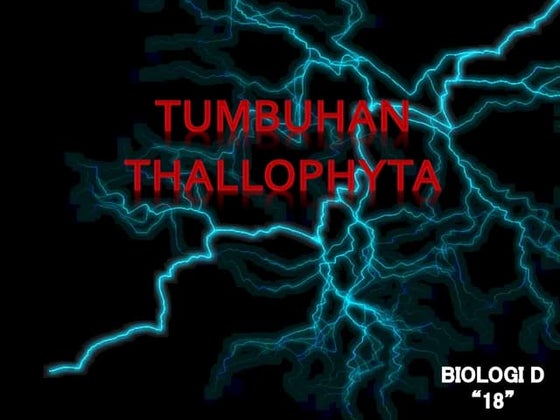 Thallophyta dan Spermatophyta diperairan.pptx