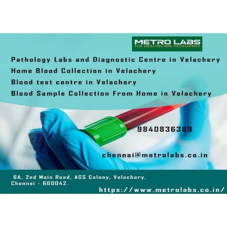 Home Blood Collection in Velachery.pdf | Blood Disorders | Diseases and ...