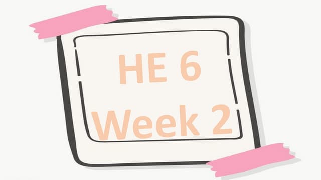 Lesson Plan TLE 6 Home Economics | DOCX