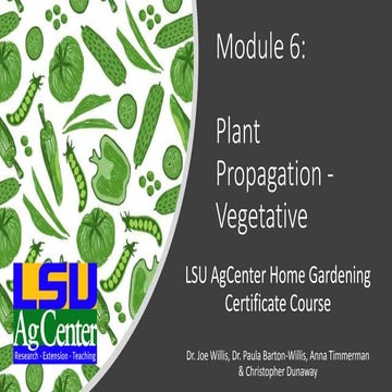 Home Gardening Certificate Course Module 6 - Plant Propagation ...