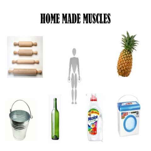 Home made muscles | PPTX