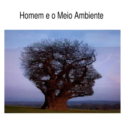 Homem e o Meio Ambiente | ODP