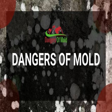 Home Mold Testing | Mold Testing Services | Dangers of Mold | PPTX
